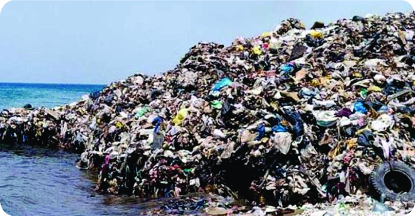 Sustainability - A&C Eco Solutions AA